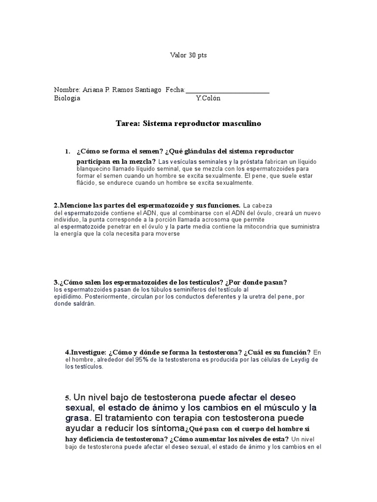 Tarea Sistema Reproductor Masculino | PDF