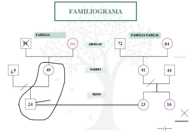 FAMILIOGRAMA | PDF