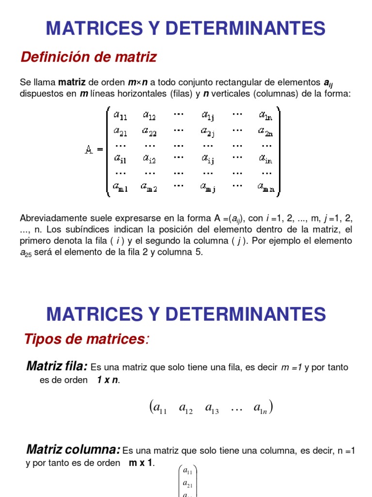 Matrices y Determinantes | PDF | Determinante | Matriz (Matemáticas)