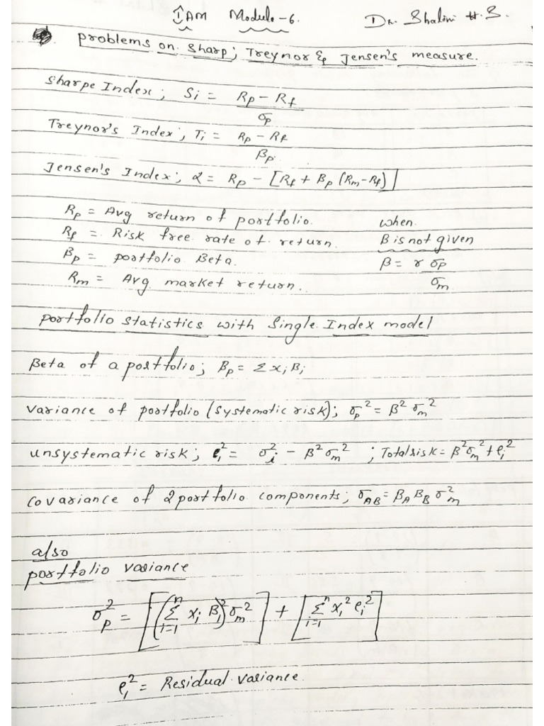 Portfolio Evaluation Problems | PDF