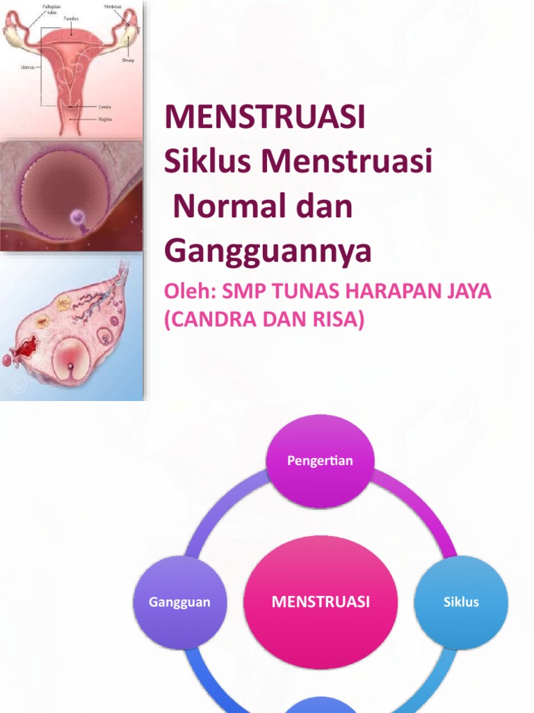 Menstruasi | PDF