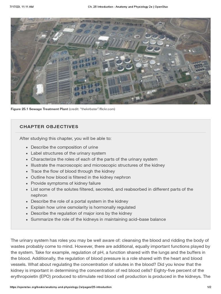 Ch. 25 Introduction - Anatomy and Physiology 2e - OpenStax | PDF ...