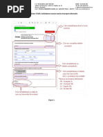 Grafic Curatenie | PDF