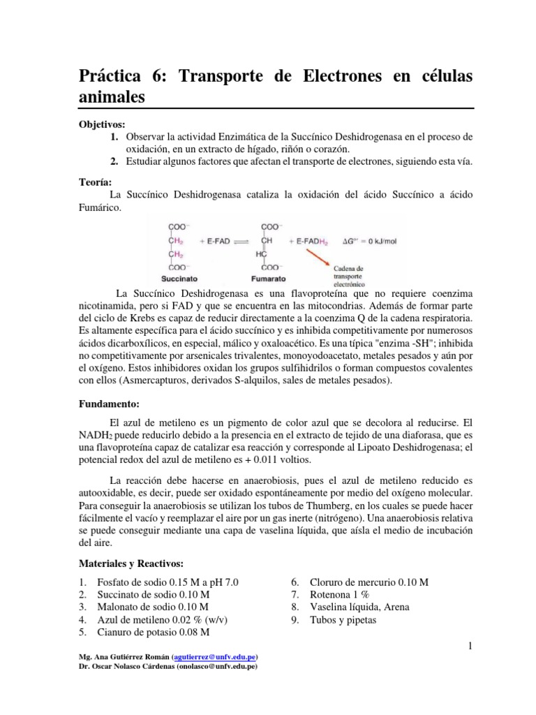 Practica 6 Transporte de Electrones Células Animal | PDF | Redox | Cadena de transporte de ...