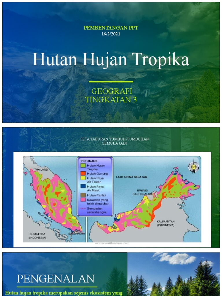 Hutan Hujan Tropika (Autosaved) | PDF