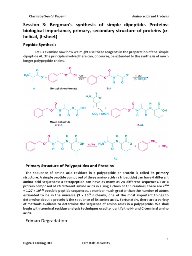 Amino Acids and Proteins S-3 | PDF | Amino Acid | Peptide