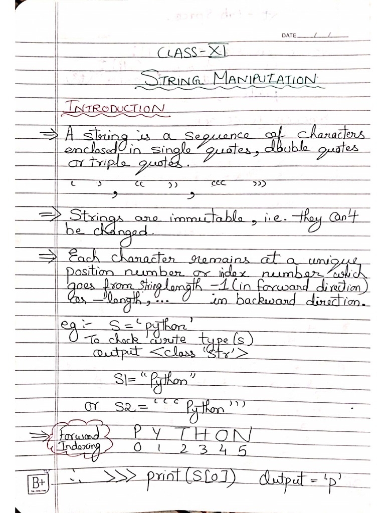 Class XI String Manipulation Notes | PDF
