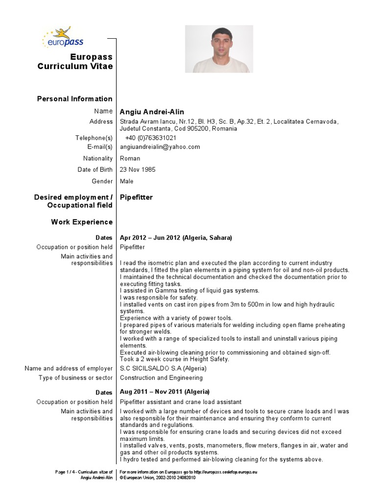 CV Alin-Andrei Angiu en | PDF | Electrical Wiring | Drywall