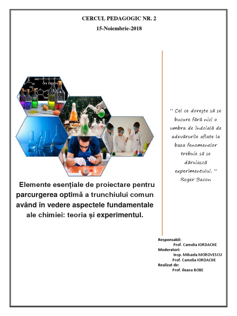 Proiect Bobe Ileana | PDF