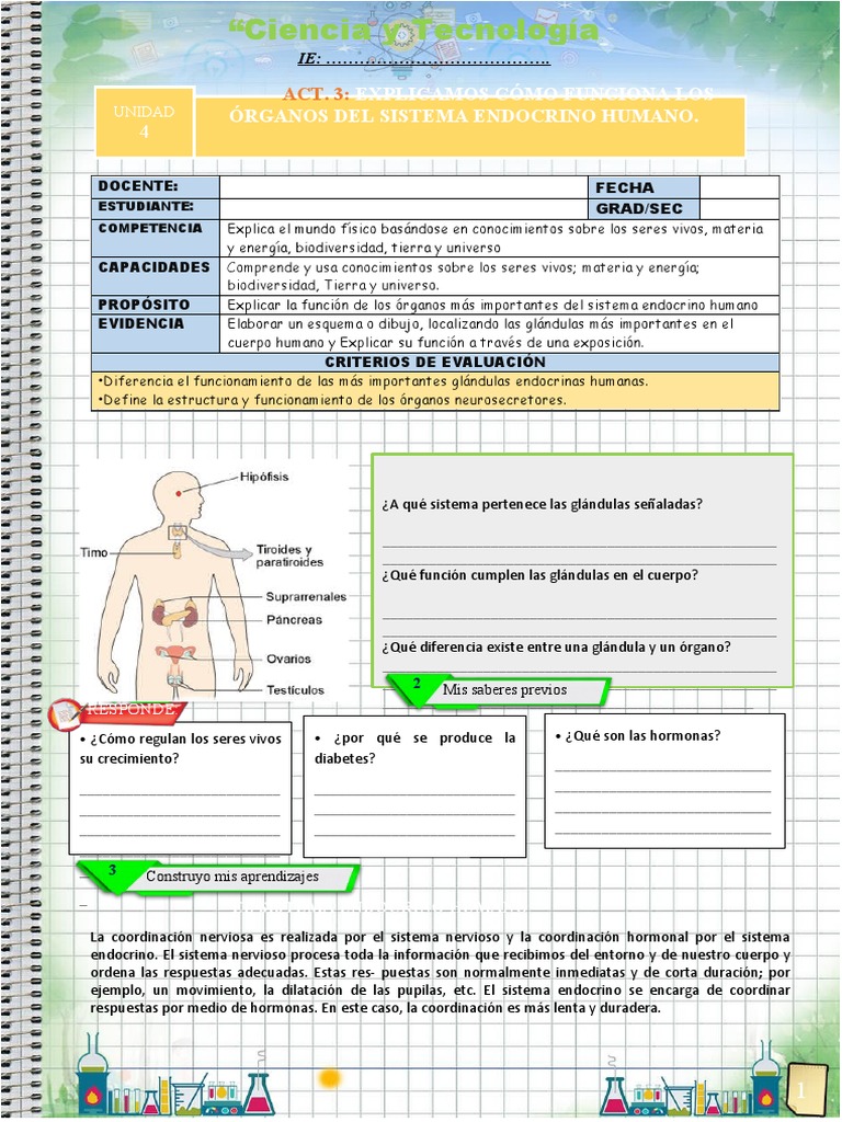 C-4º Act 4-Cyt-Und 4 | PDF | Glándula pituitaria | Sistema endocrino