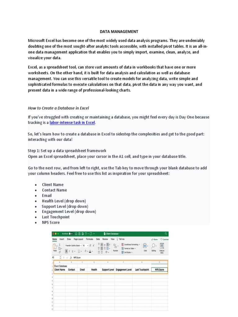 Data Management | PDF | Microsoft Excel | Spreadsheet