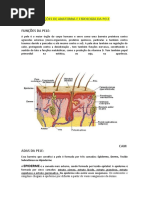 Catálogo PLENUM | PDF | Impressão 3D | Implante dentário