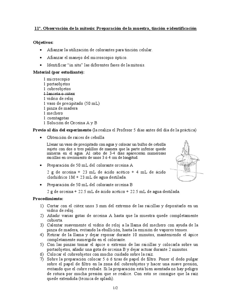 Preparación de Orceína A y B | PDF | Química | Materiales
