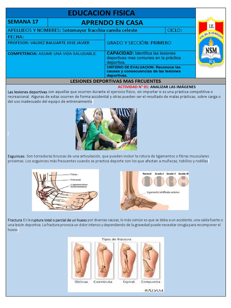 Lesiones Deportivas Comunes | PDF | Músculo | Lesión