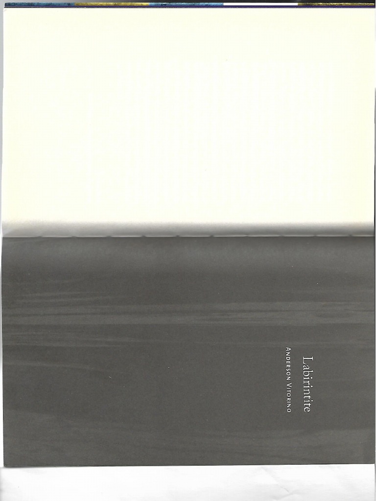 Labirintite ANDERSON VITORINO | PDF