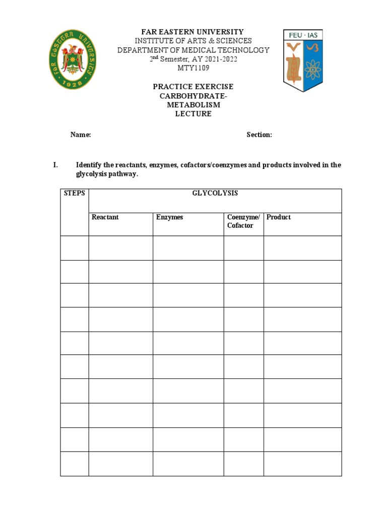 Carbohydrate Metabolism Exercise Guide | PDF
