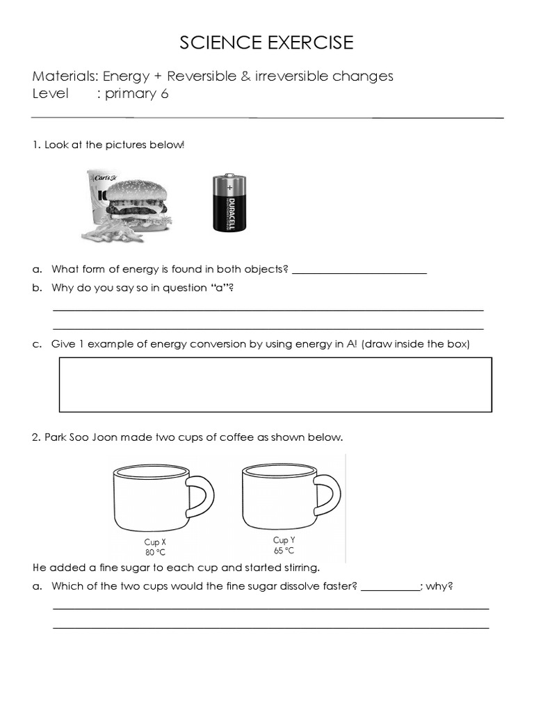Science Exercise Energy + Reversible and Irreversible Changes | PDF ...
