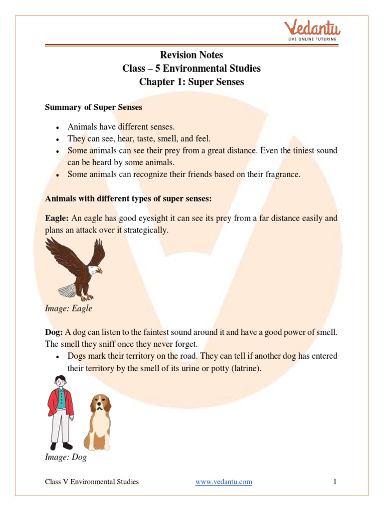 Super Senses Class 5 Notes CBSE EVS Chapter 1 (Free PDF Download) | PDF ...