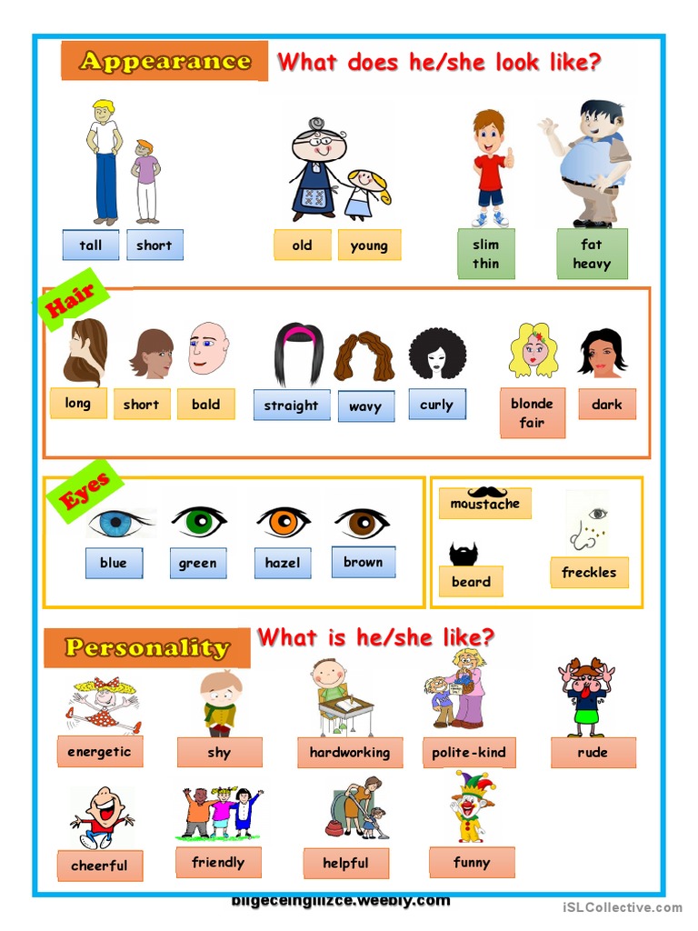 Appearance Personality | PDF