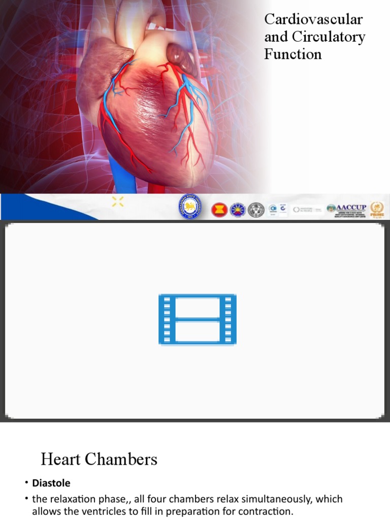Cardio 1 | PDF | Heart | Artificial Cardiac Pacemaker