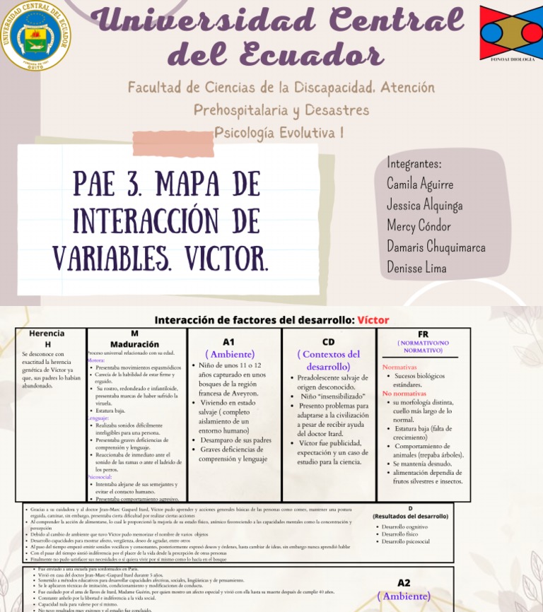 MAPA DE INTERACCIÓN DE VARIABLES. VICTOR. GRUPALo | PDF