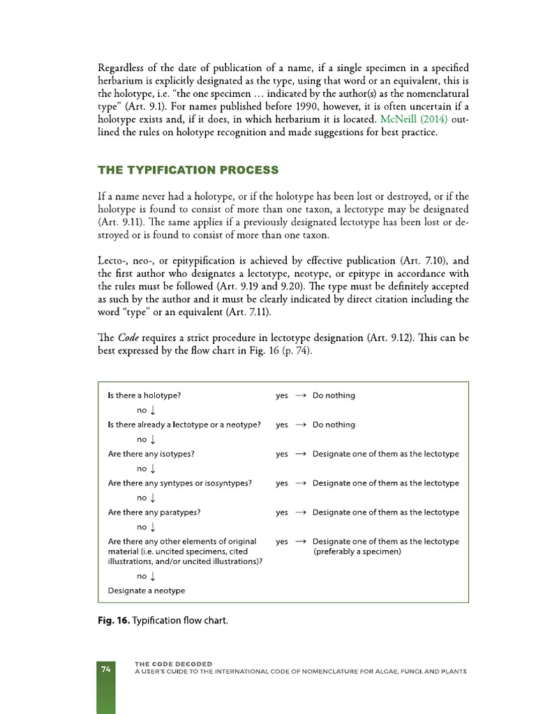 4. the Typification Process | PDF