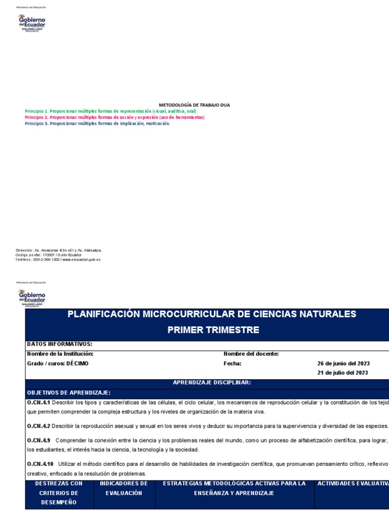 10mo - CCNN - 1er - Trimestre | PDF