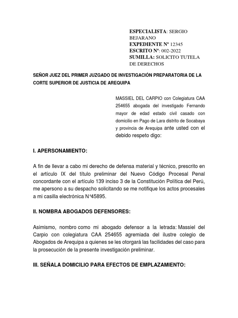 Solicitud de Tutela de Derechos | PDF | Fiscal | Ley procesal