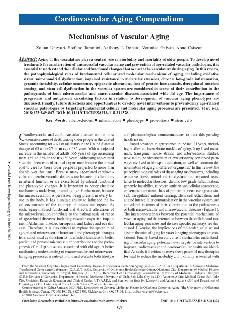Ungvari 2018 Mechanisms of Vascular Aging | PDF | Inflammation ... Ungvari 2018 Mechanisms of Vascular Aging | PDF | Inflammation ...