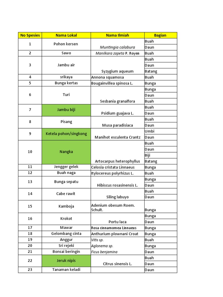 Coretan Analisis Dan ICS | PDF