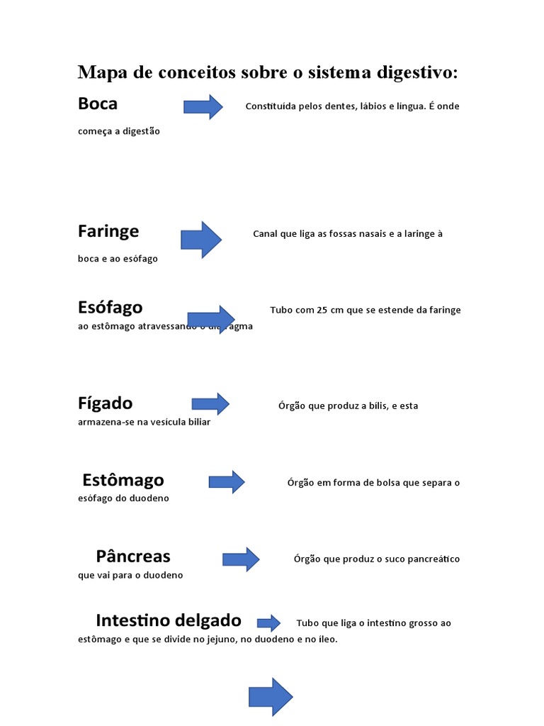 Mapa de Conceitos Sobre o Sistema Digestivo | PDF