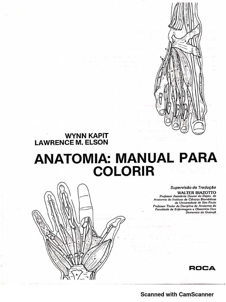 Anatomia Para Colorir | PDF