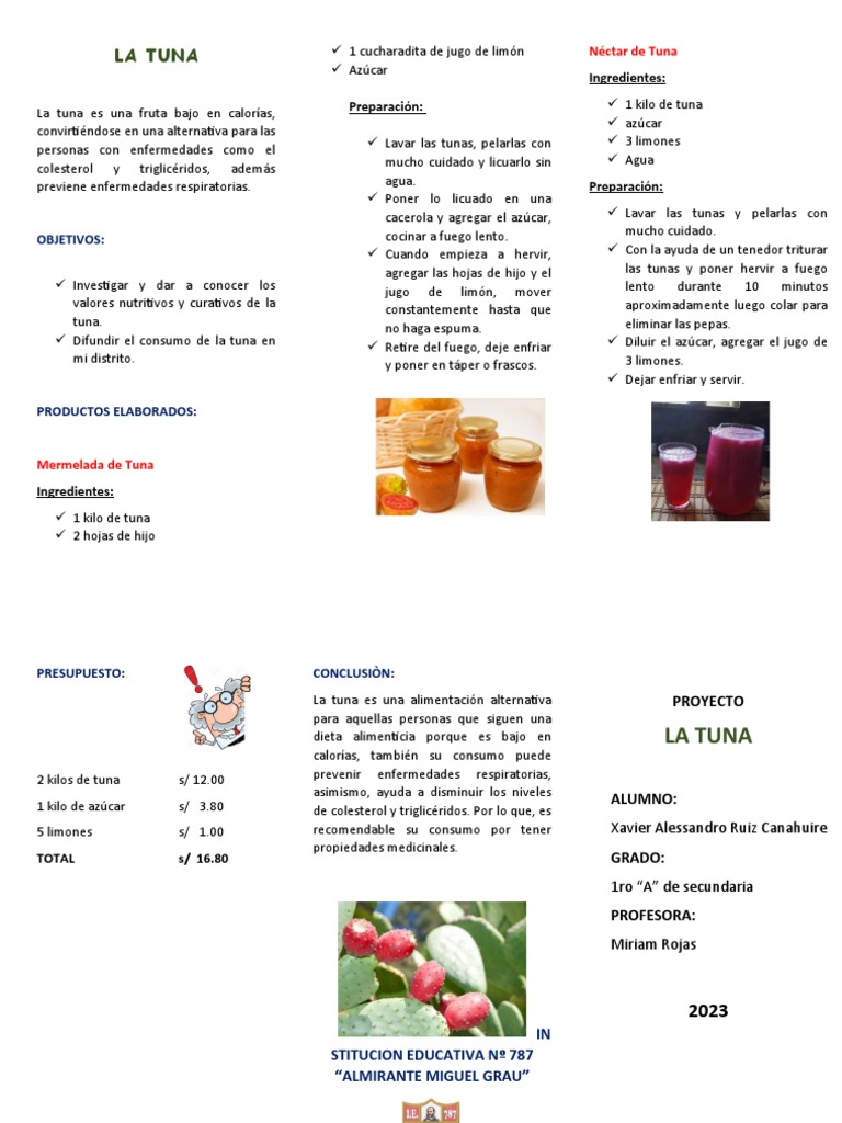 Beneficios y recetas de la tuna | PDF | Comida y bebida | Alimentos