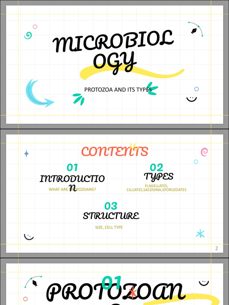 Microbiology Project | PDF | Protozoa | Cell (Biology)