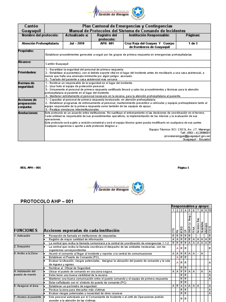 Protocolo 2 APH Version Final PN | PDF | Hospital
