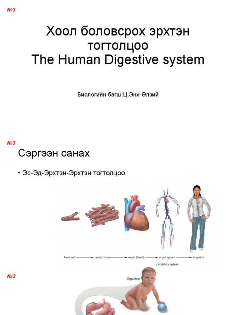 Lesson3 Hool Bolowsroh | PDF