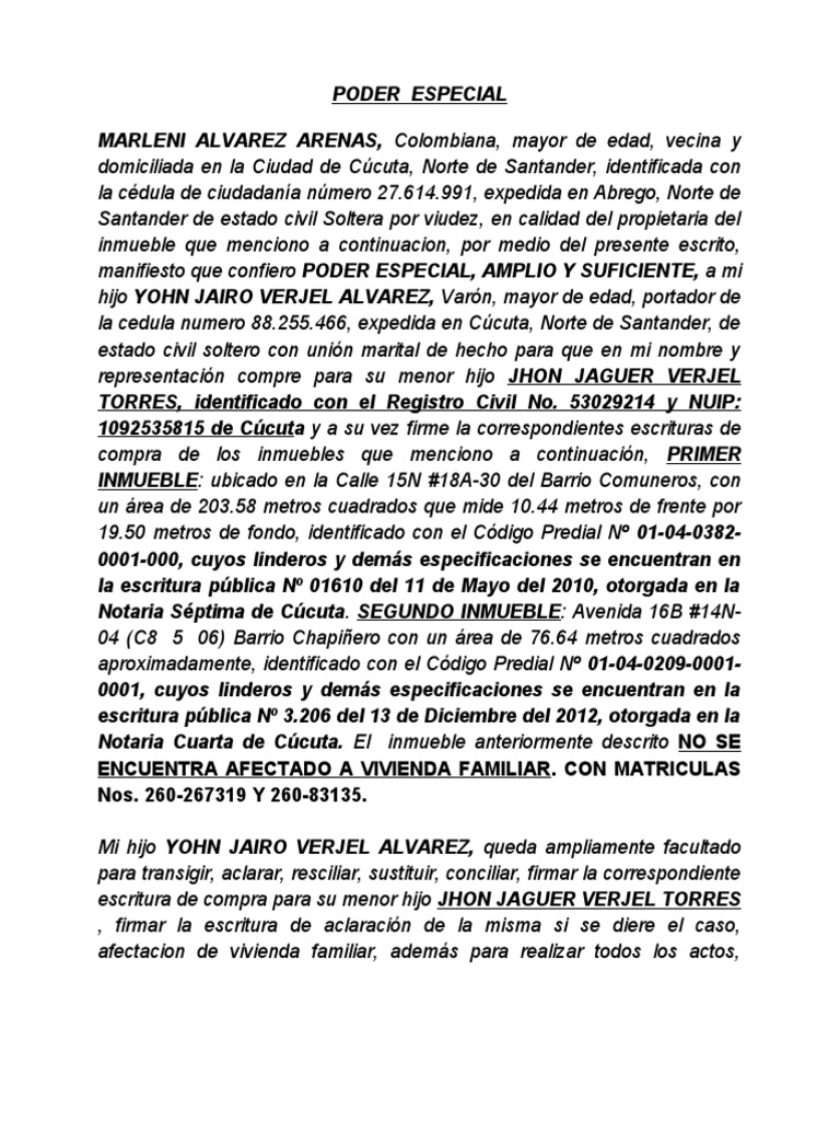 PODER COMPRA PARA SU MENOR HIJO | PDF