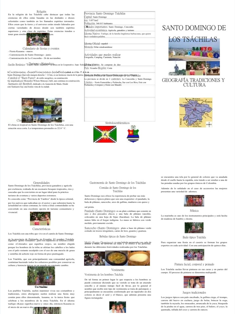 PDF Triptico Final | PDF