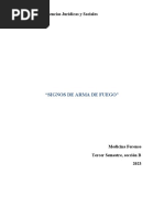 Signo de Puppe Werkgartner | PDF | Libros para adolescentes