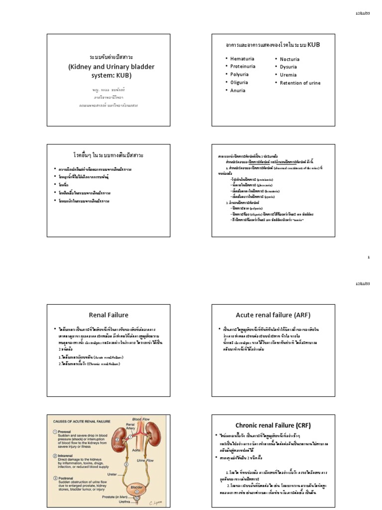 Genitourinary 2 | PDF