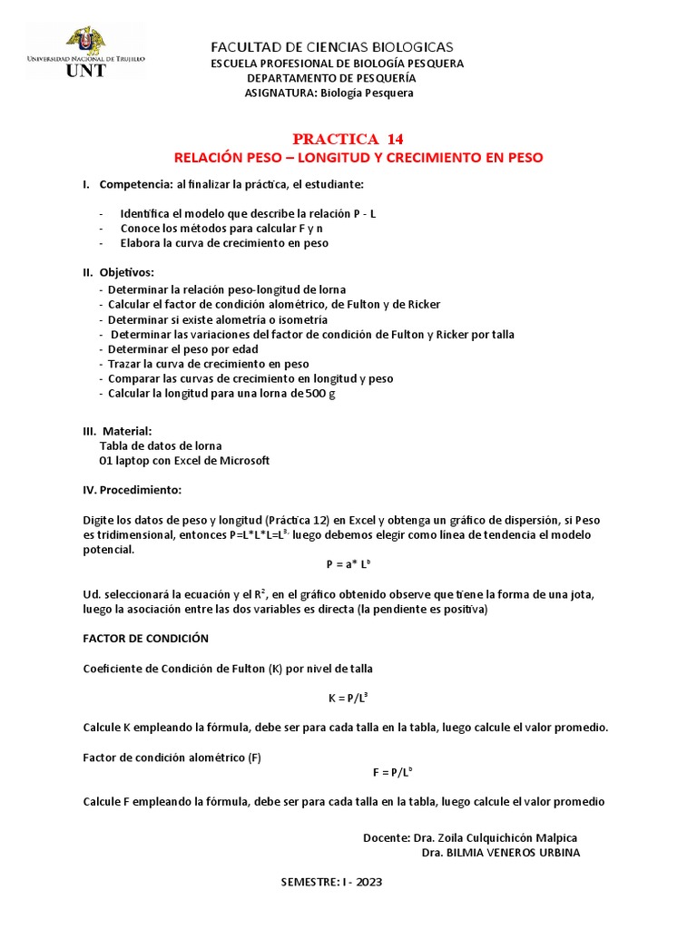 PRACTICA Clase 14 | PDF