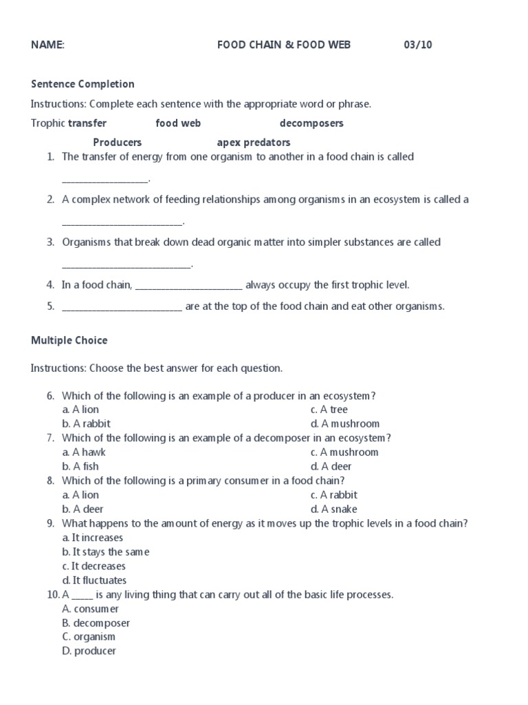 Food Chain Food Web | PDF