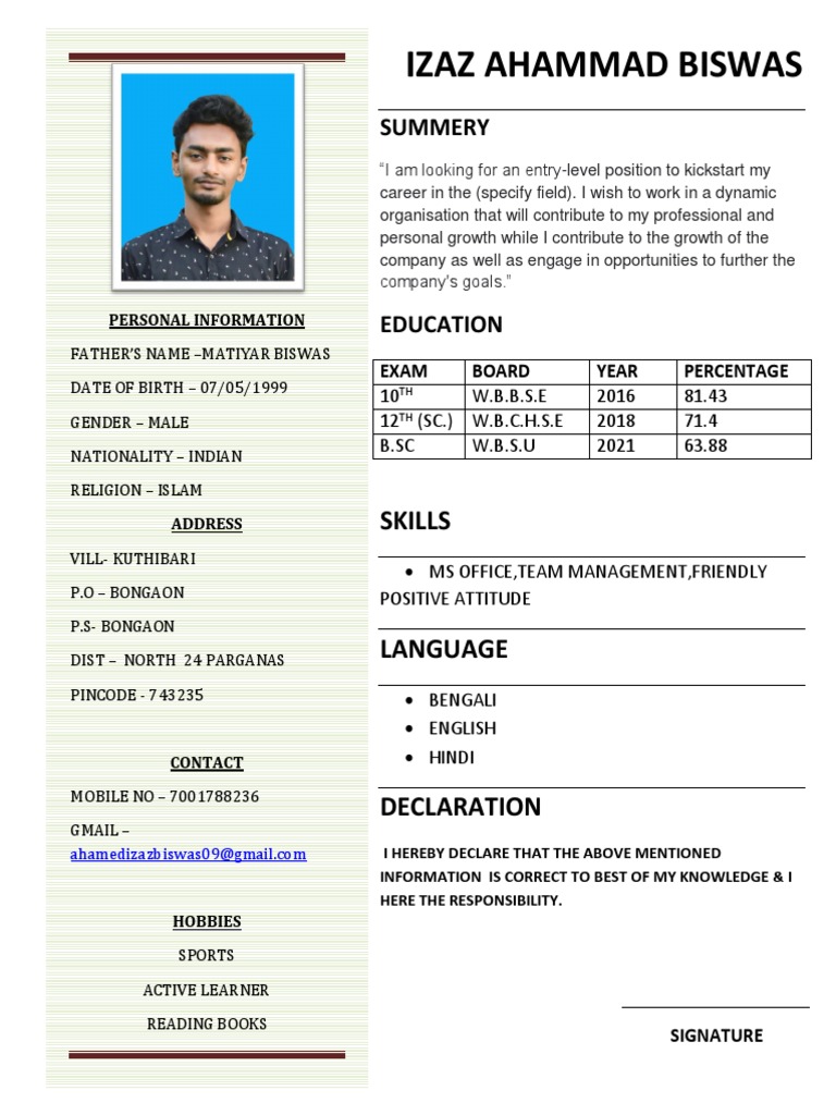 Entry-Level Job Seeker Resume Summary | PDF