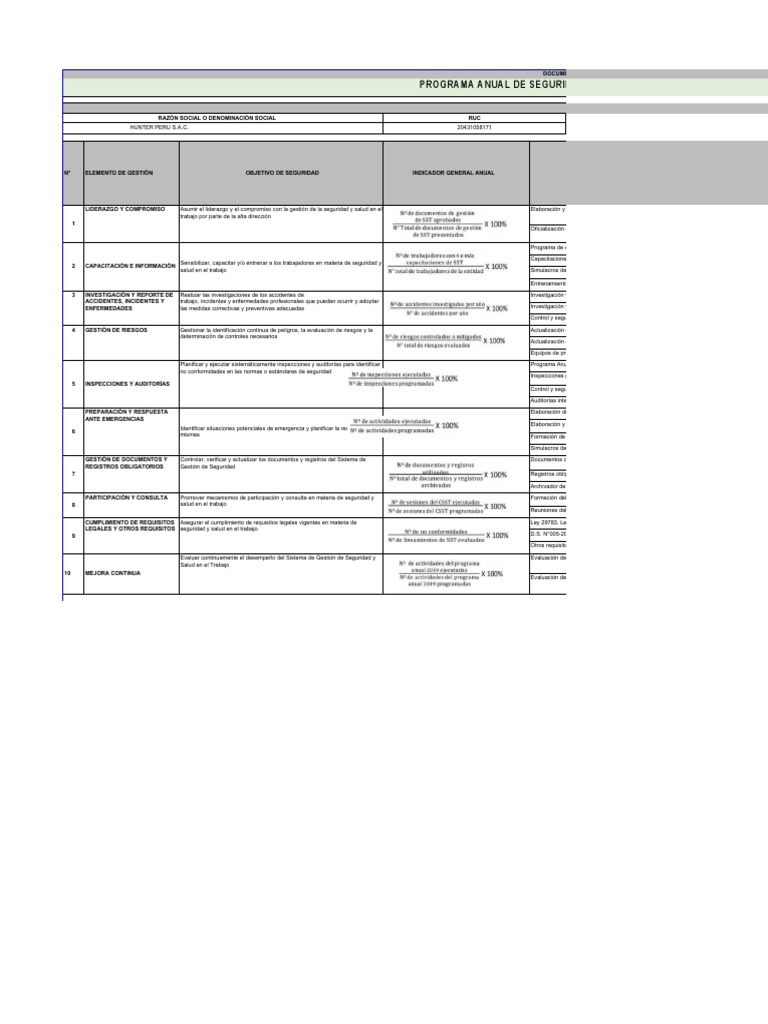 SST-HUNTER-Plan Anual de SST 2020 | PDF