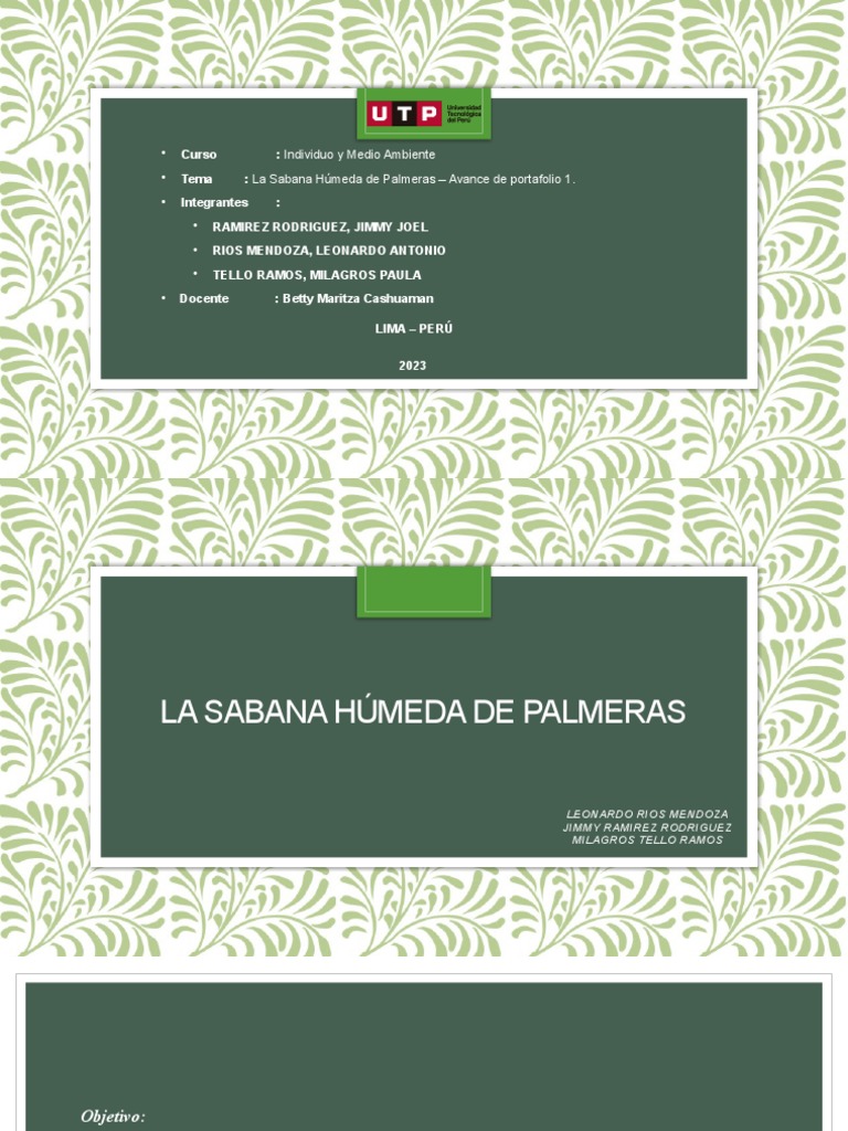 La Sabana Húmeda de Palmeras | PDF