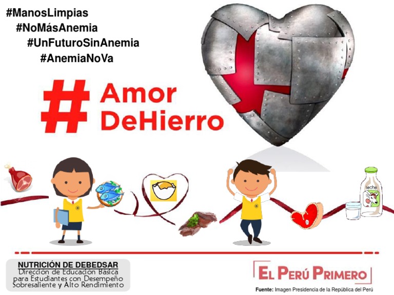 Campaña Nacional Contra la Anemia | PDF