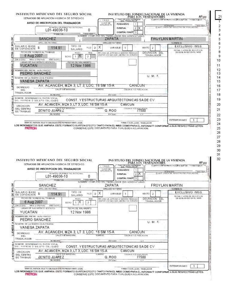 Afil-02 Formato Alta Imss | PDF