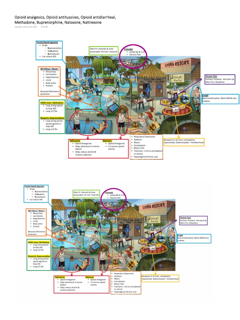 Sketchy Opioids | PDF | Opioid | Therapy