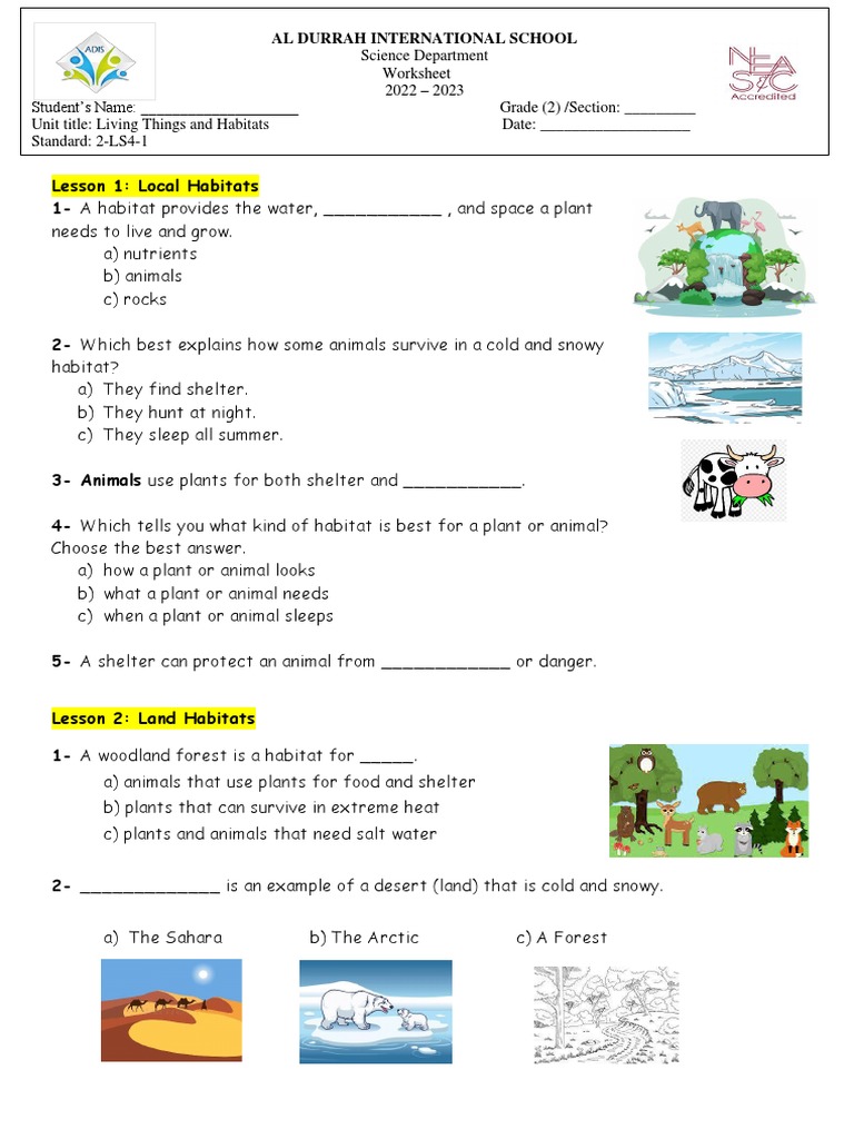 Lesson 1&2 Check + Answer Key | PDF