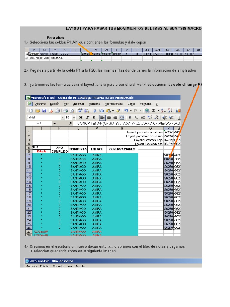 Layout SUA Sin Macros | Informática y tecnología de la información ...